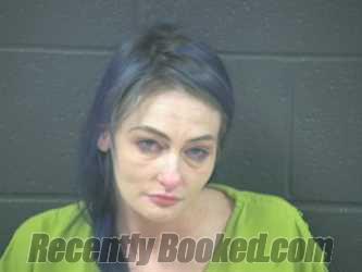 JESSICA METZ Arrest Record & Booking Info – Morrow County, Ohio ...