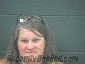 Recent Booking / Mugshot for KARI CLARK in Morrow County, Ohio