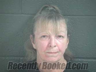 Recent Booking / Mugshot for LAURIE DRAKE in Morrow County, Ohio