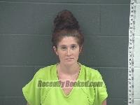Recent Booking / Mugshot for Allison R Hindy in Morrow County, Ohio