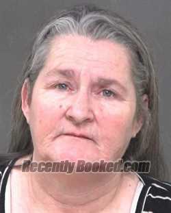 Recent Booking / Mugshot for LISA MARIE JENKINS in Muskingum County, Ohio