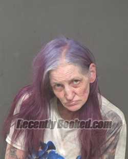 Recent Booking / Mugshot for DEBORAH L SAXTON in Muskingum County, Ohio