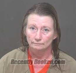 Recent Booking / Mugshot for MANDY LEIGH SEEVERS in Muskingum County, Ohio