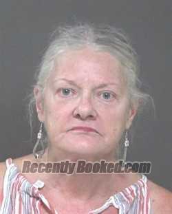 Recent Booking / Mugshot for CHRISTINE SILKE BRUYN in Muskingum County ...