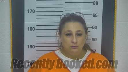 Recent Booking / Mugshot for ASHLEY AMOS in Ottawa County, Ohio