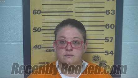 Recent Booking / Mugshot for ERICA A HALL in Ottawa County, Ohio