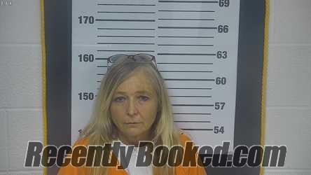 Recent Booking / Mugshot for MICHELLE HEFLIN in Ottawa County, Ohio