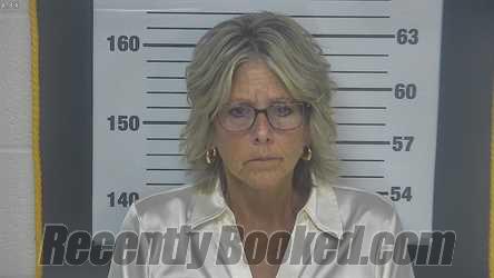 MICHELE IRELAND Arrest Record & Booking Info – Ottawa County, Ohio ...