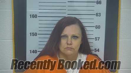Recent Booking / Mugshot for LISA KUCH in Ottawa County, Ohio
