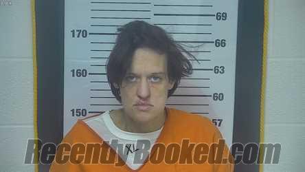 Recent Booking / Mugshot for DEBORAH MOON in Ottawa County, Ohio