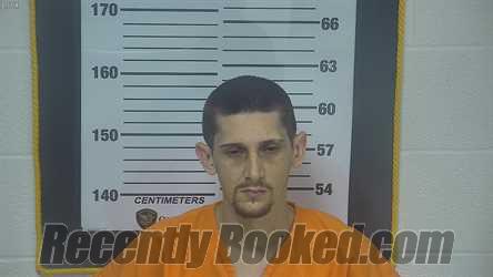 Recent Booking / Mugshot for DAVID PETRY in Ottawa County, Ohio