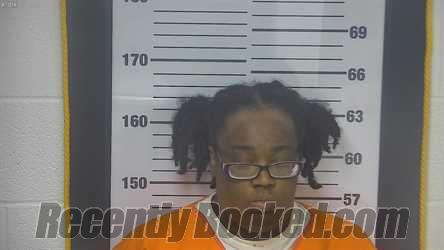 Recent Booking / Mugshot for STACY PRATT in Ottawa County, Ohio