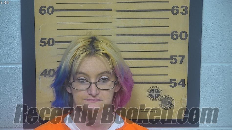 Recent Booking / Mugshot for SARAH R ZACHARIAS in Ottawa County, Ohio