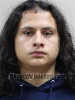 Recent Booking / Mugshot for ALEX MIGUEL CALVILLO in Paulding County, Ohio