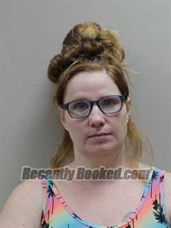 Recent Booking / Mugshot for LAURA ELIZABETH SEIBERT in Paulding County ...