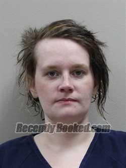 Recent Booking / Mugshot for NICOLE LYNN KNAPP in Paulding County, Ohio