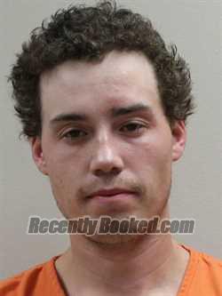 Recent Booking / Mugshot for RILEY JAMES BIDLACK in Paulding County, Ohio