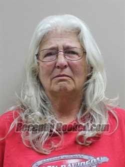 Recent Booking / Mugshot for LYNETTE ANN SHIDLER in Paulding County, Ohio