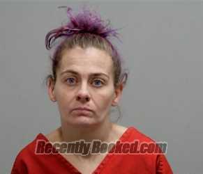 Recent Booking / Mugshot for KRISTEN LEA WERLEIN - SAUNDERS in Pickaway ...