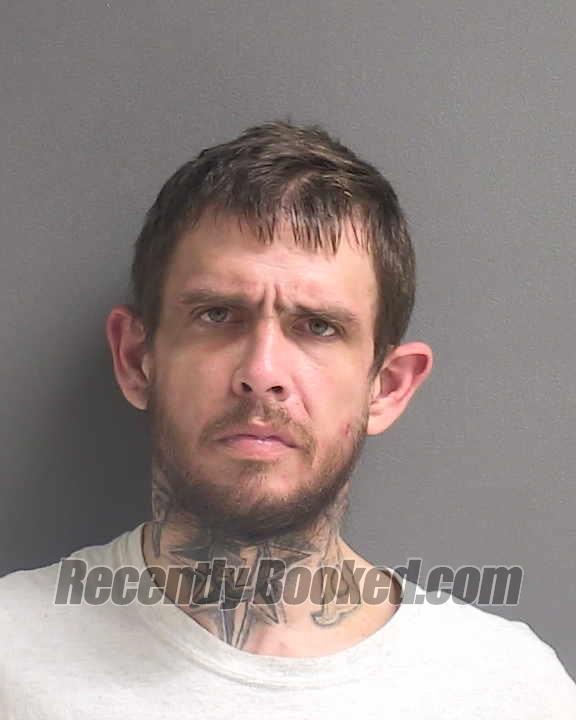 Recent Booking / Mugshot for STEVEN R LONG in Volusia County, Florida