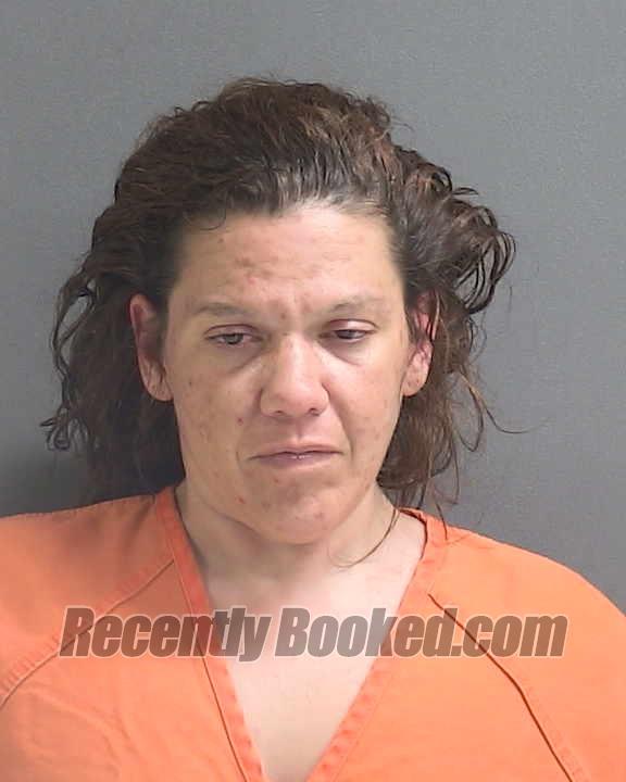 Recent Booking / Mugshot for JESSIE RENEE DICKENS in Volusia County ...
