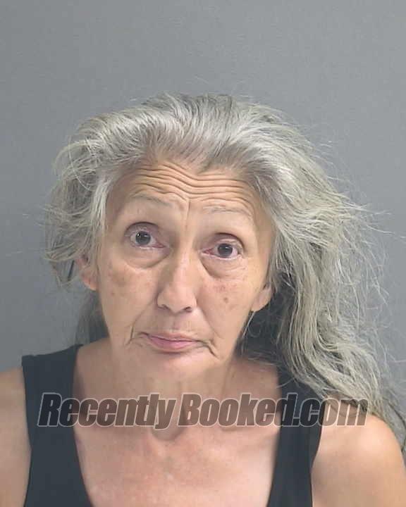 Recent Booking / Mugshot for SUE A STROUP in Volusia County, Florida