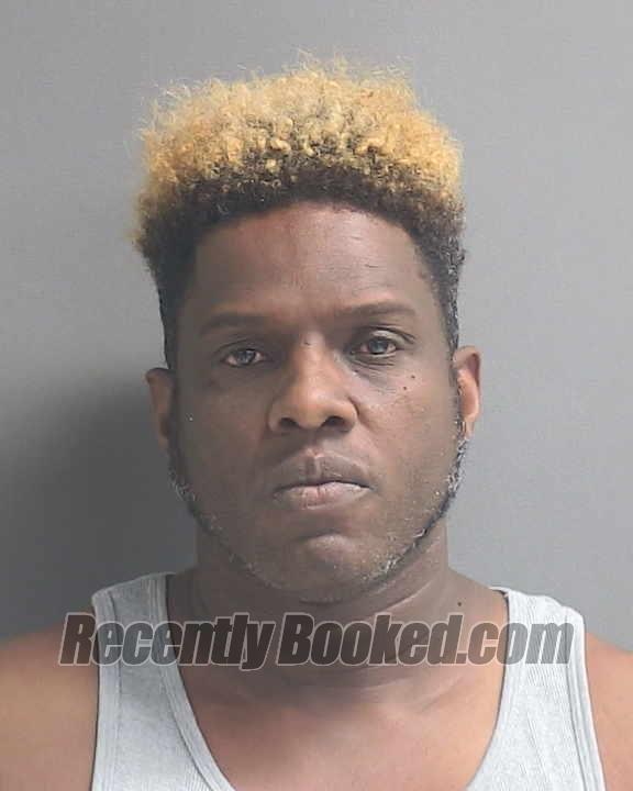 Recent Booking / Mugshot for ALEXIS TABER COLLIER in Volusia County ...