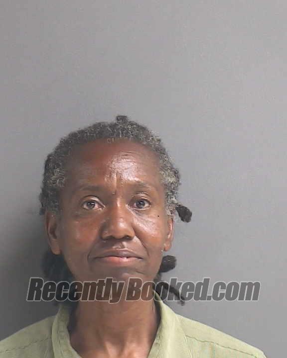 Recent Booking / Mugshot for WANDA FAYE HINES in Volusia County, Florida