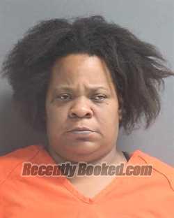 Recent Booking / Mugshot for STEPHANIE DENISE THOMPSON in Volusia ...
