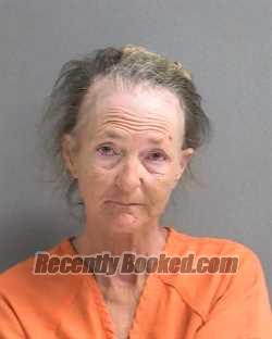 DAWN R GAMBERG Arrest Record & Booking Info – Volusia County, Florida ...