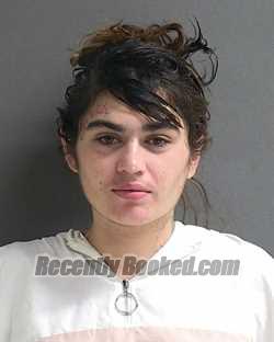 Recent Booking / Mugshot for HAILEY N HUDSON in Volusia County, Florida