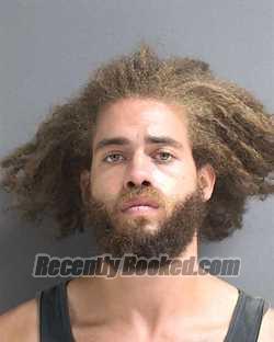 Recent Booking / Mugshot for Hans L Nelson in Volusia County, Florida
