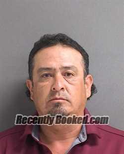 Recent Booking / Mugshot for CLEMENTE ARMAS in Volusia County, Florida