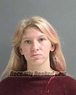 Recent Booking / Mugshot for LINDSEY MARIE BERRY in Volusia County, Florida