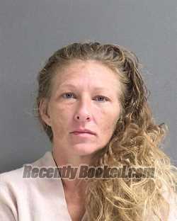 Recent Booking / Mugshot for NICOLE RENEE DOYLE in Volusia County, Florida