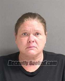 Recent Booking / Mugshot for ELIZABETH CURRY FREER in Volusia County ...