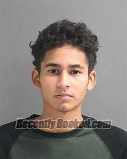 Recent Booking / Mugshot for SELVIN MORALES FLORES in Volusia County ...