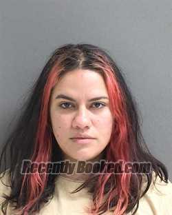 Recent Booking / Mugshot for AMERICA NICOLE RODRIGUEZ GIL in Volusia ...