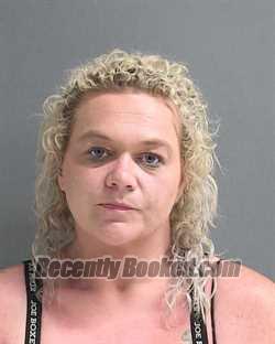 Recent Booking / Mugshot for JENNIFER M LAW in Volusia County, Florida