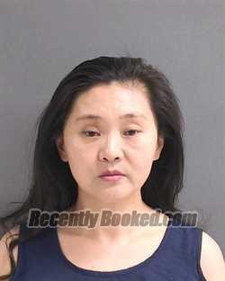 Recent Booking / Mugshot for YAN QIN in Volusia County, Florida