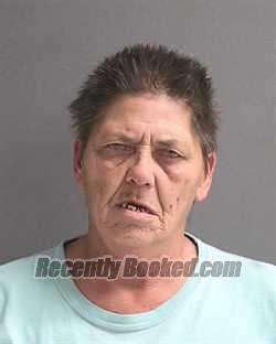 Recent Booking / Mugshot for PAMELA JEANNE BRIGGS in Volusia County ...