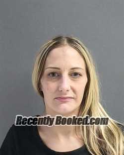 Recent Booking / Mugshot for BRITTANY N FERNEKEES in Volusia County ...