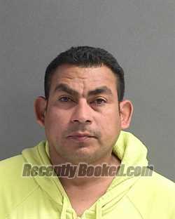 Recent Booking / Mugshot for HENRY CARRUYO in Volusia County, Florida