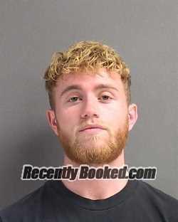 Recent Booking / Mugshot for BRYCE AUSTIN LOWMAN in Volusia County, Florida