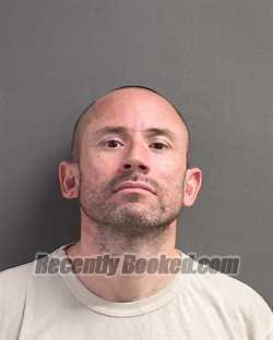 Recent Booking / Mugshot for CHRISTOPHER G MAGGI in Volusia County, Florida