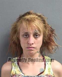 Recent Booking / Mugshot for ALICIA DELMIRA REED in Volusia County, Florida