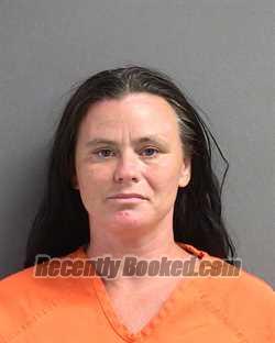 Recent Booking / Mugshot for JENNIFER N WEEKS in Volusia County, Florida