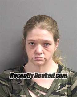 Recent Booking / Mugshot for CHANTELLE ANN BARNES in Volusia County ...