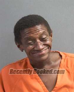 Recent Booking / Mugshot for JENNIFER ARLENE LAMAR in Volusia County ...