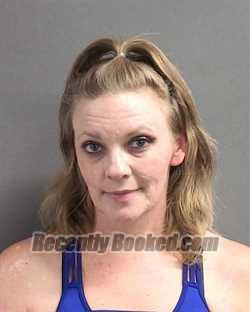 Recent Booking / Mugshot for LISA ANN SEBEK in Volusia County, Florida